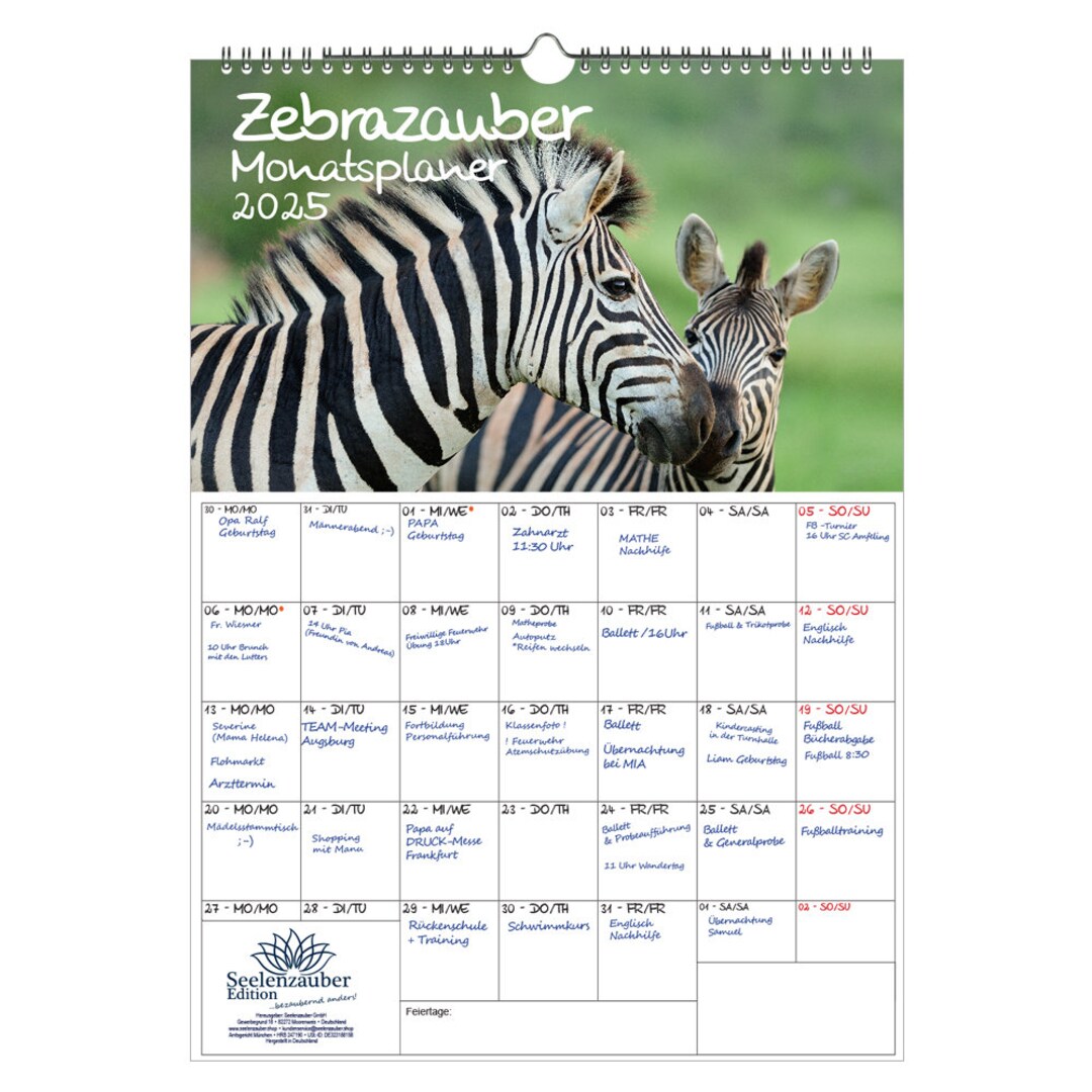 Zebra Magic Planner DIN A3 Calendar for 2025 Zebra Seelenzauber - Etsy