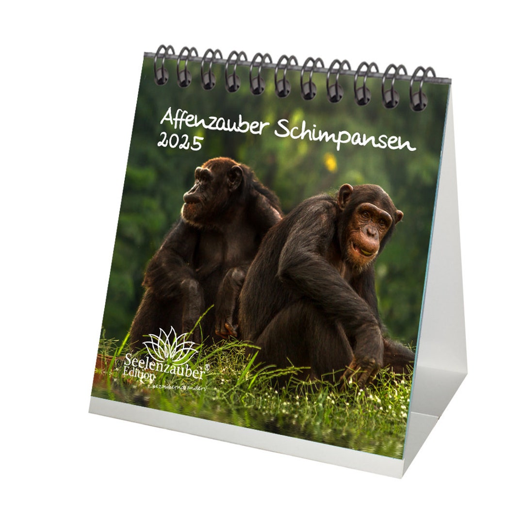 Monkey Magic Chimpanzee Calendar for 2025 Format 10 Cm X 10 Cm Monkeys ...