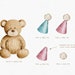 Teddy Bear Clipart, Bear Illustration Clipart, Cute Animal Clipart ...