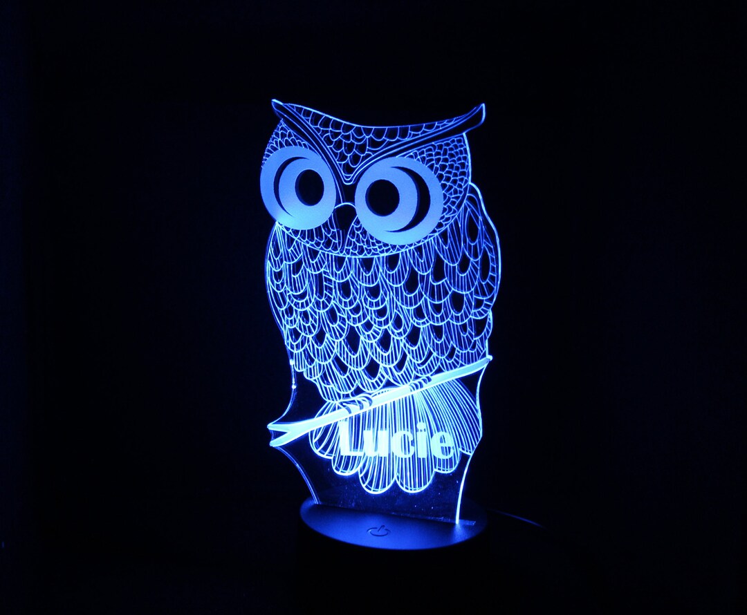 Personalized Owl 3D Illusion LED Lit Lamp - Etsy