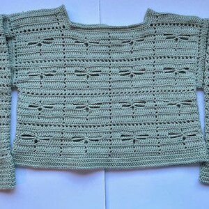 Crocheted Dragonfly Sweater - Etsy
