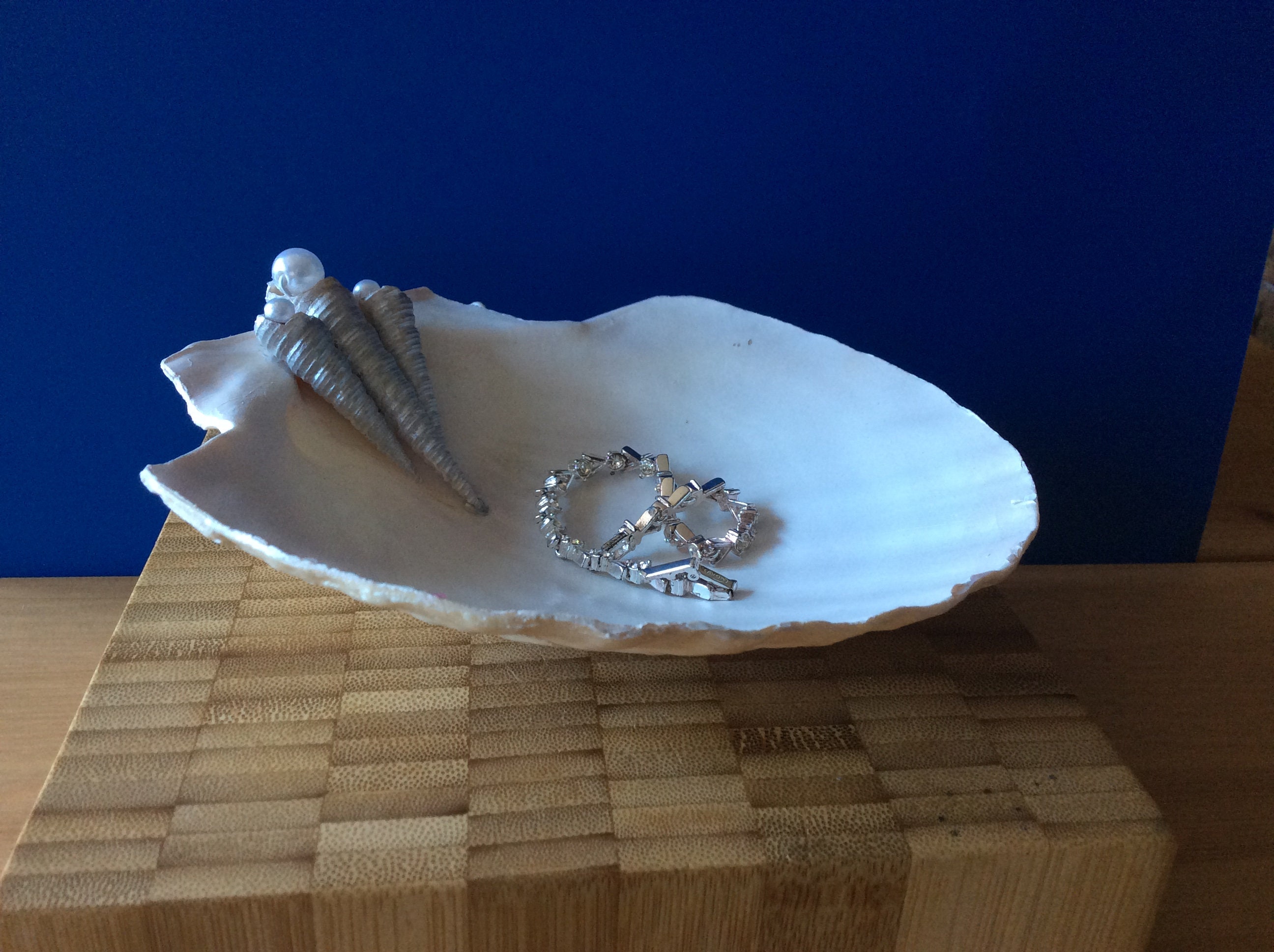 Seashell Holder - Etsy