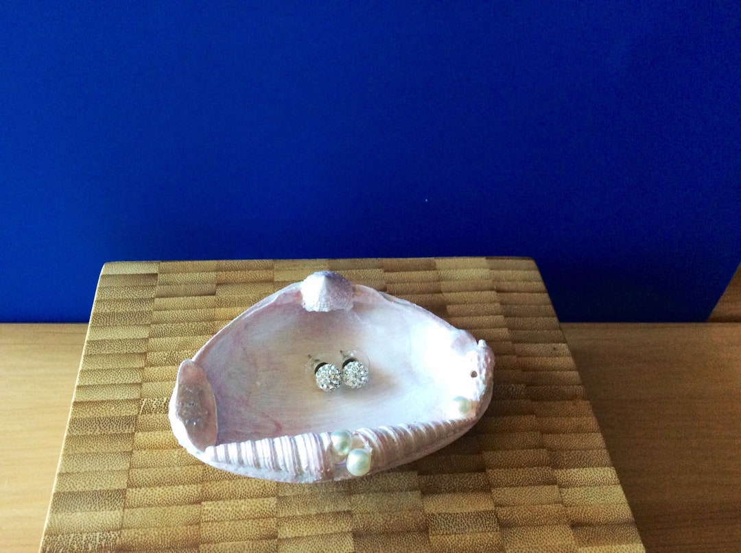 Seashell Holder - Etsy