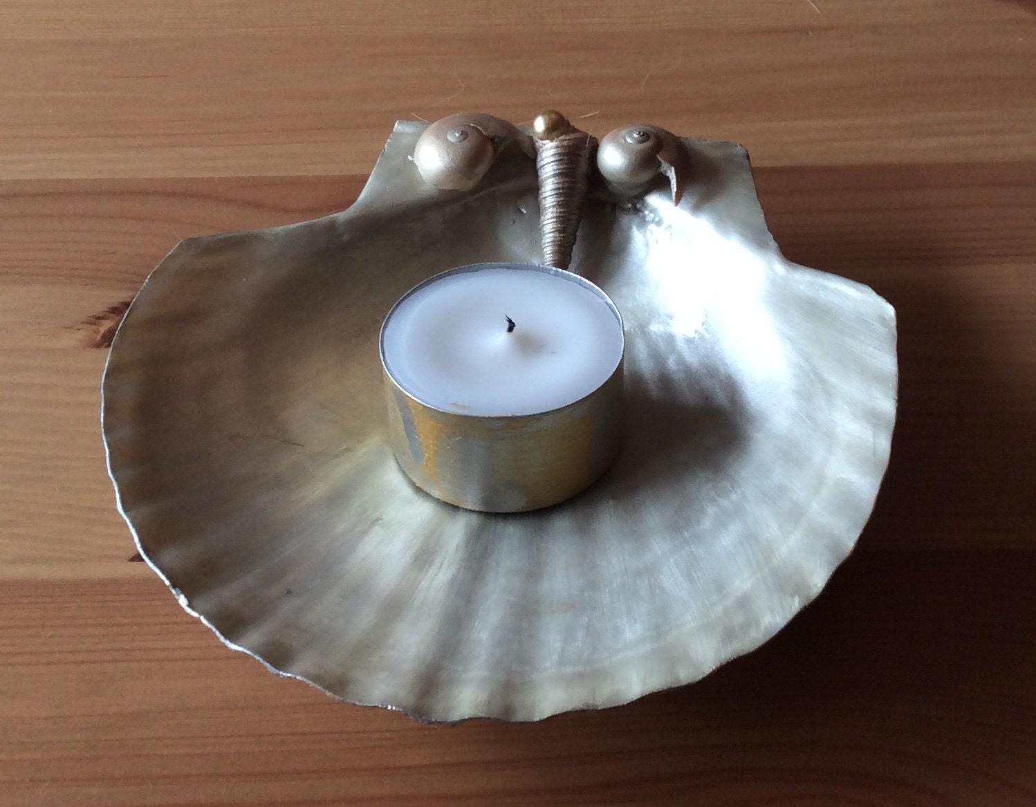 Seashell Holder - Etsy