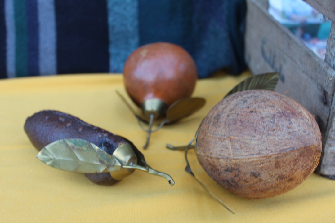 Ethnic Art With Real Fruit , Colonial Fruit Art Object With Copper ...