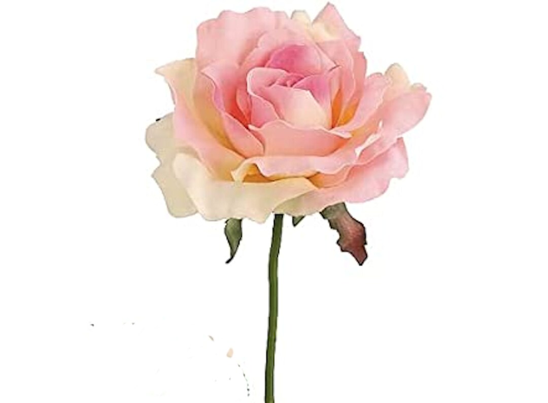 12 Medium Pink and Creme Open Rose Artificial Silk Flower With No ...