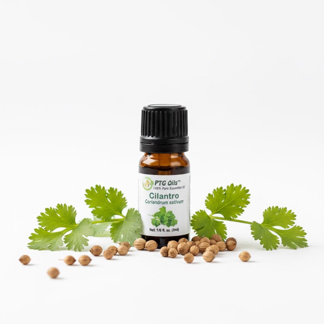 Cilantro Essential Oil Fresh Green Herbal Aroma - Etsy