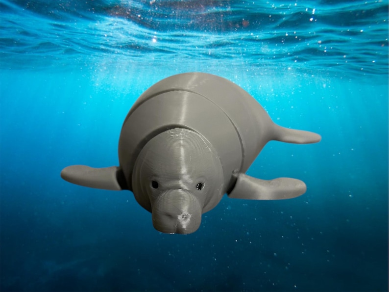Manatee Articulated Flexi Fidget Toy - Etsy