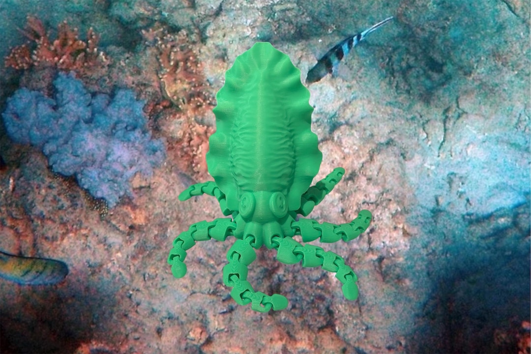 Cuttlefish Articulated Flexi Fidget Toy - Etsy