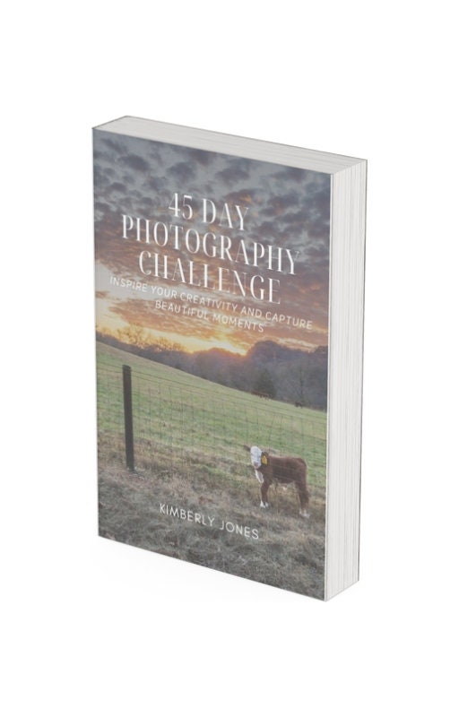 45-day Photography Challenge Ebook - Daily Prompts & Tips for Creative ...