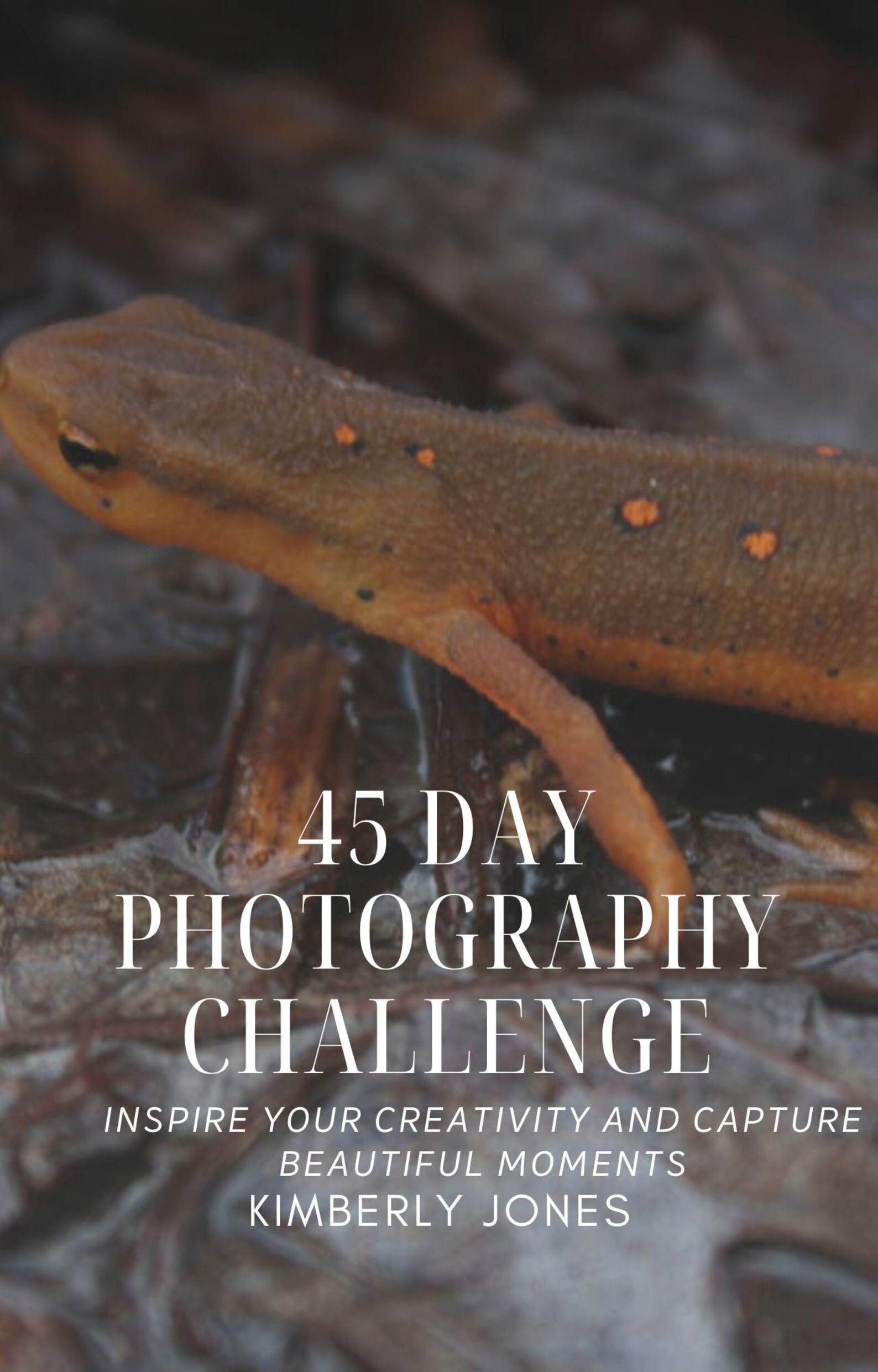 45-day Photography Challenge Ebook - Daily Prompts & Tips for Creative ...