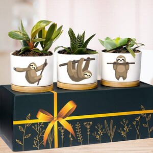 Sloth Gift - 60+ Gift Ideas for 2024