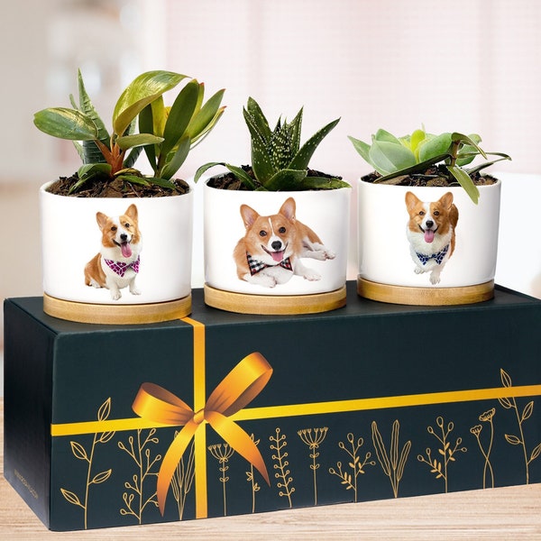 Corgi Planter - Etsy