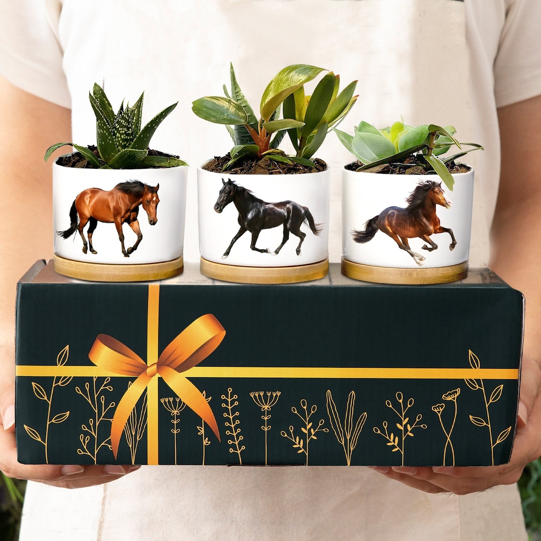 Horse Planters, Horse Gifts for Girls, Horse Gifts for Women Unique ...
