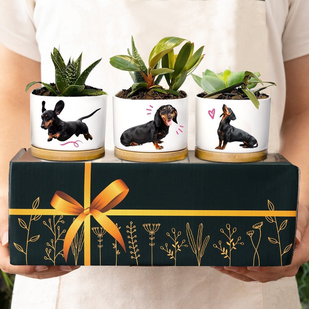 Dachshund Planters, Dachshund Gifts for Women & Men, Premium Quality ...