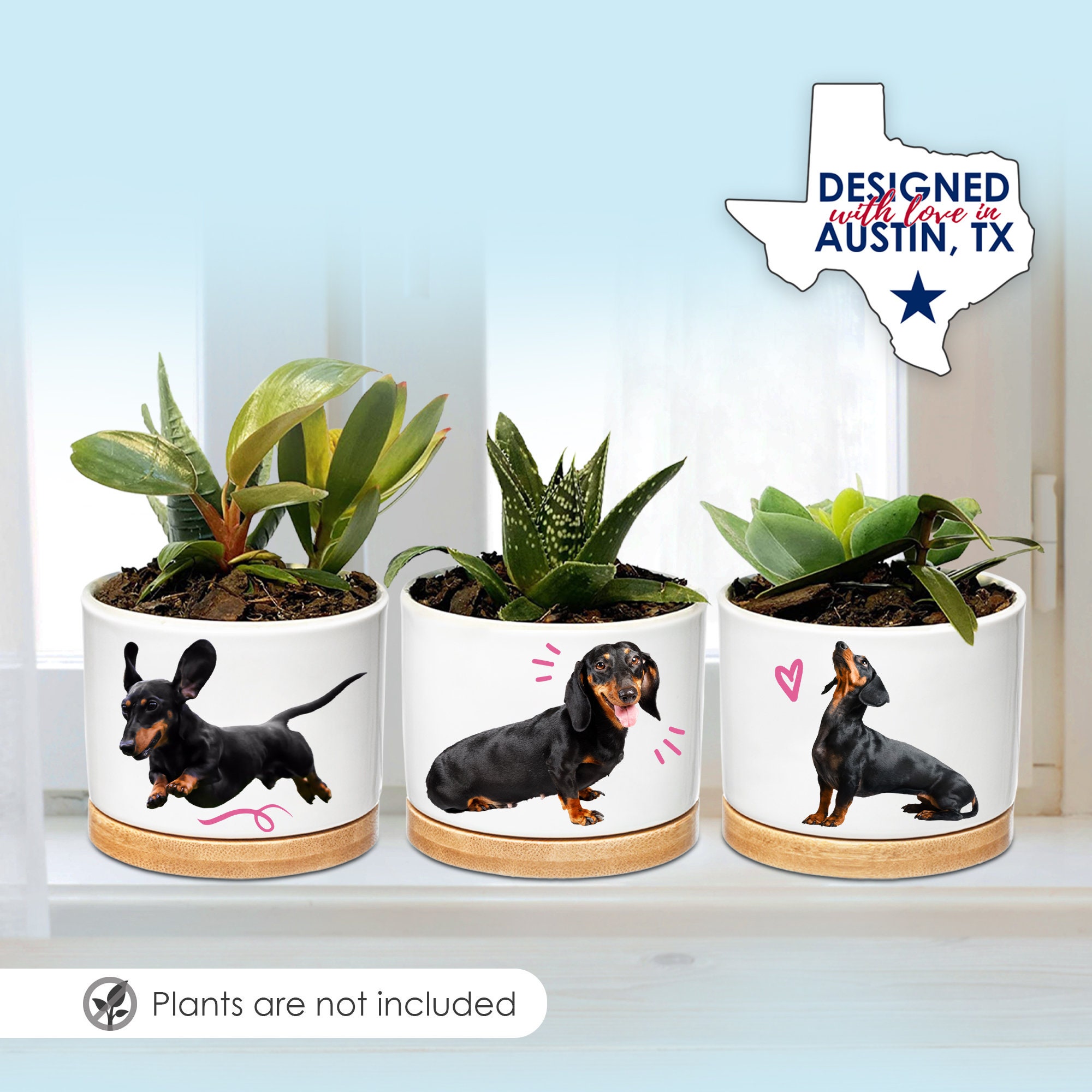 Dachshund Planters Dachshund Gifts for Women & Men Premium - Etsy