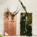 Hanging Propogation Station - Etsy