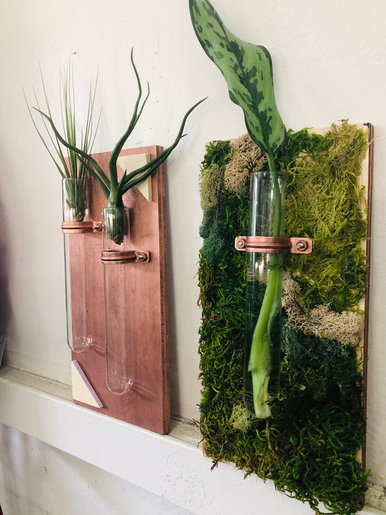 Hanging Propogation Station - Etsy