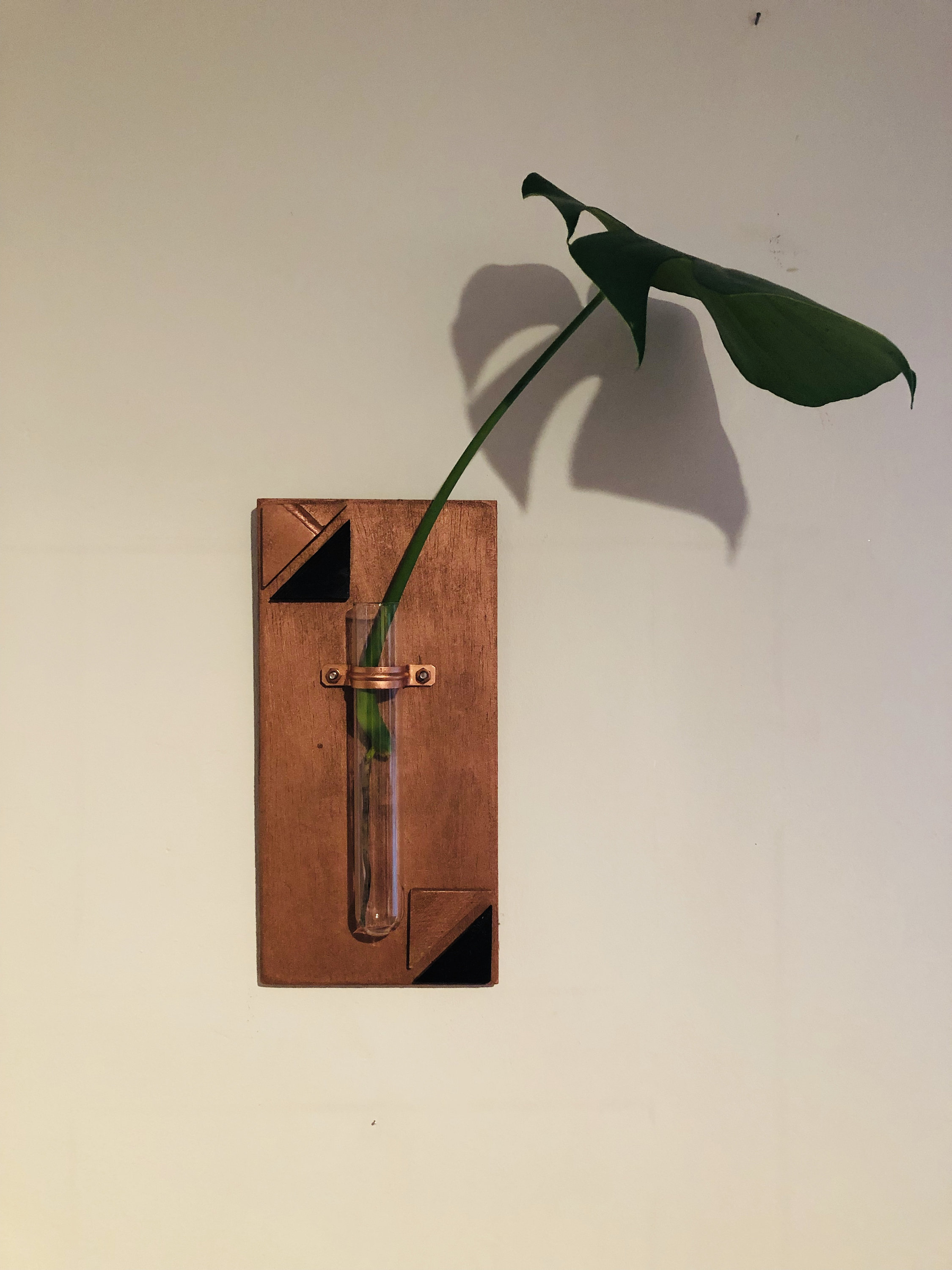 Hanging Propogation Station - Etsy