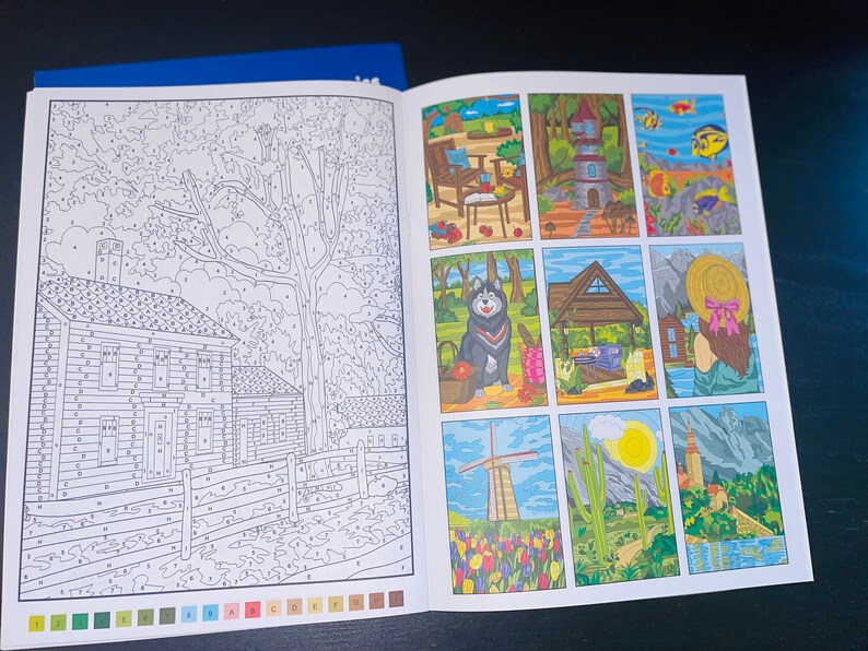 Adult Colour by Numbers Animal Colour by Numbers Scenery Colour by ...