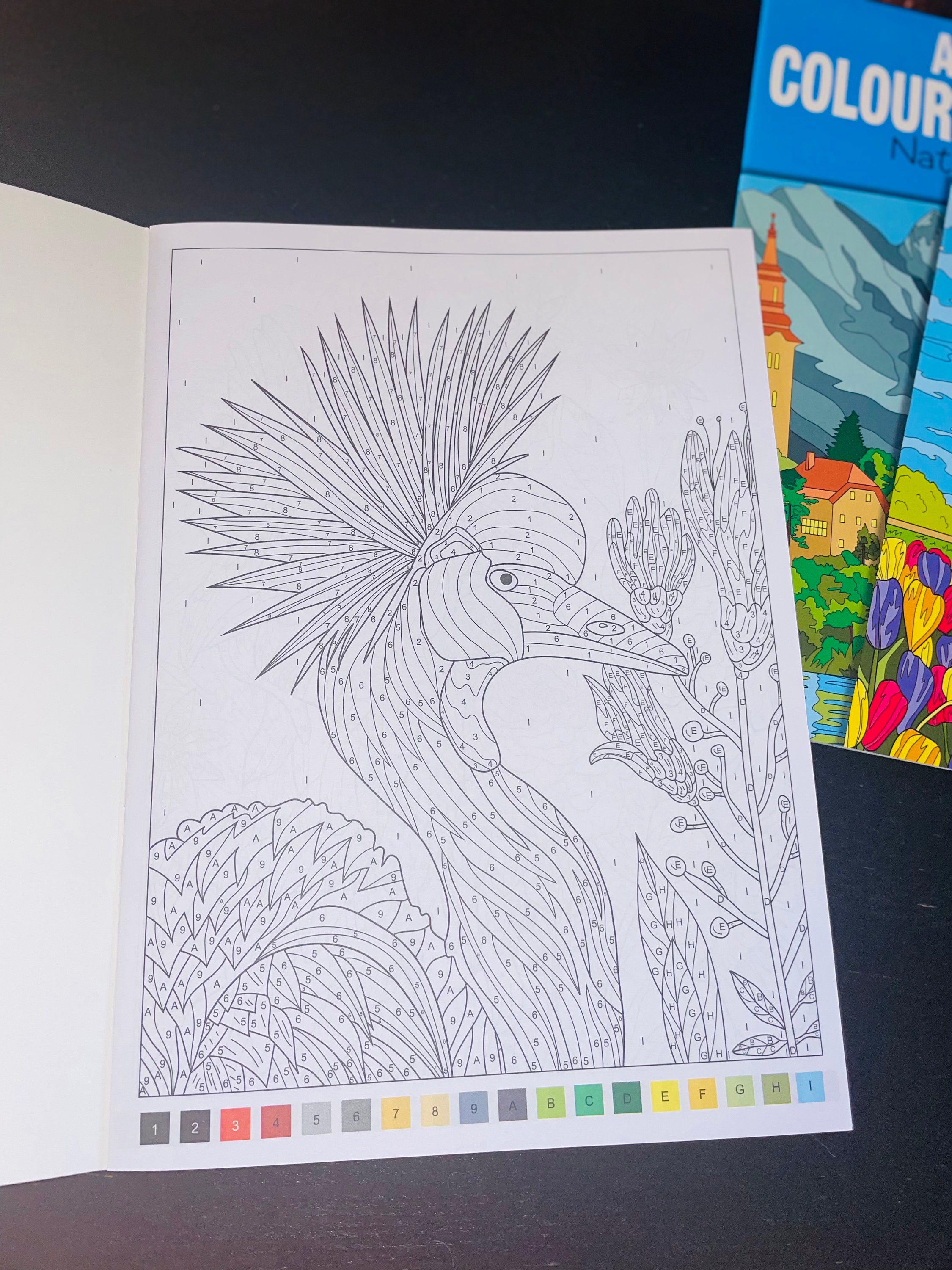 Adult Colour by Numbers Animal Colour by Numbers Scenery Colour by ...