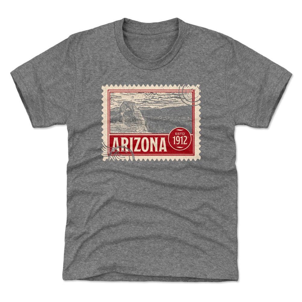 Arizona Kids T-shirt Arizona Lifestyle Arizona Established - Etsy
