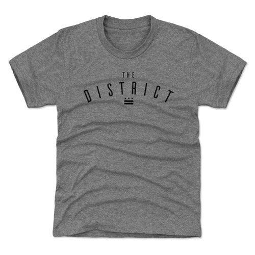 The District Tee gray Washington DC T-shirt - Etsy