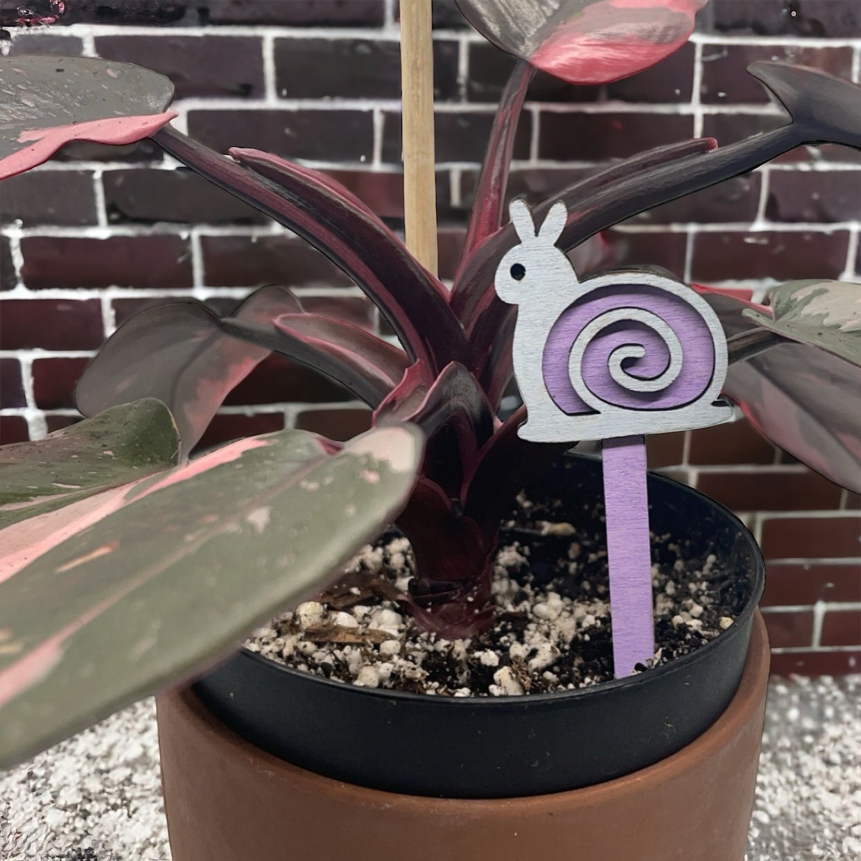 Cute Spring Themed Plant Stakes - 4.5 Inches - Etsy