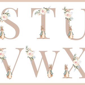 Instant Download, Printable PNG, Peter Rabbit Floral Alphabet ...