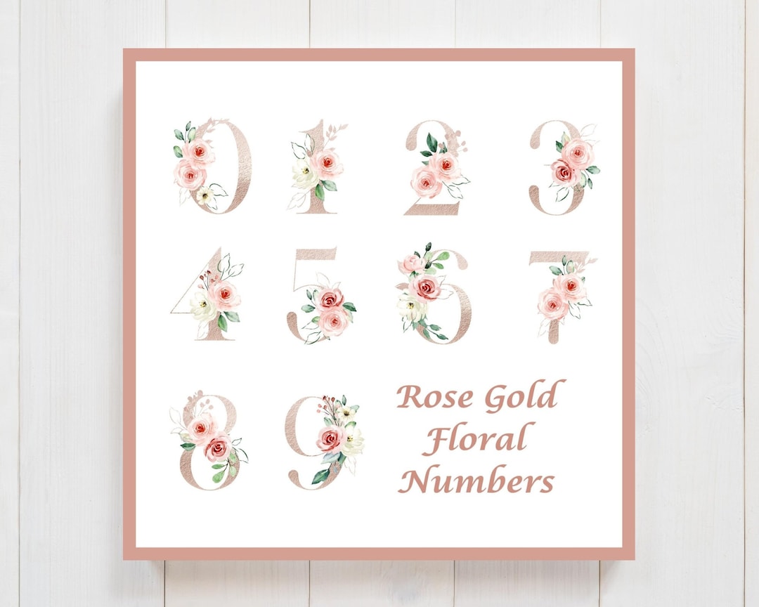 Instant PNG Download, Rose Gold Floral Numbers, Numbers 0-9, Floral ...