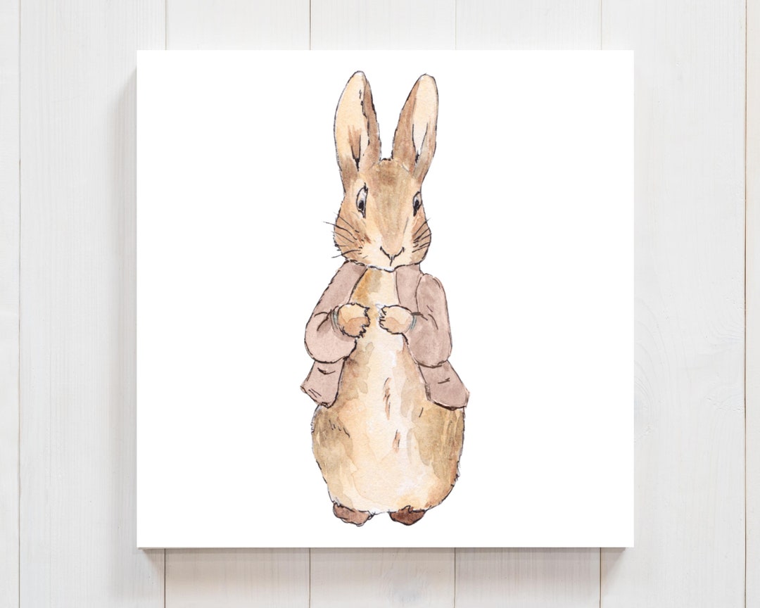 Instant PNG Download, Flopsy Bunny in Pale Pink Jacket, Clip Art ...
