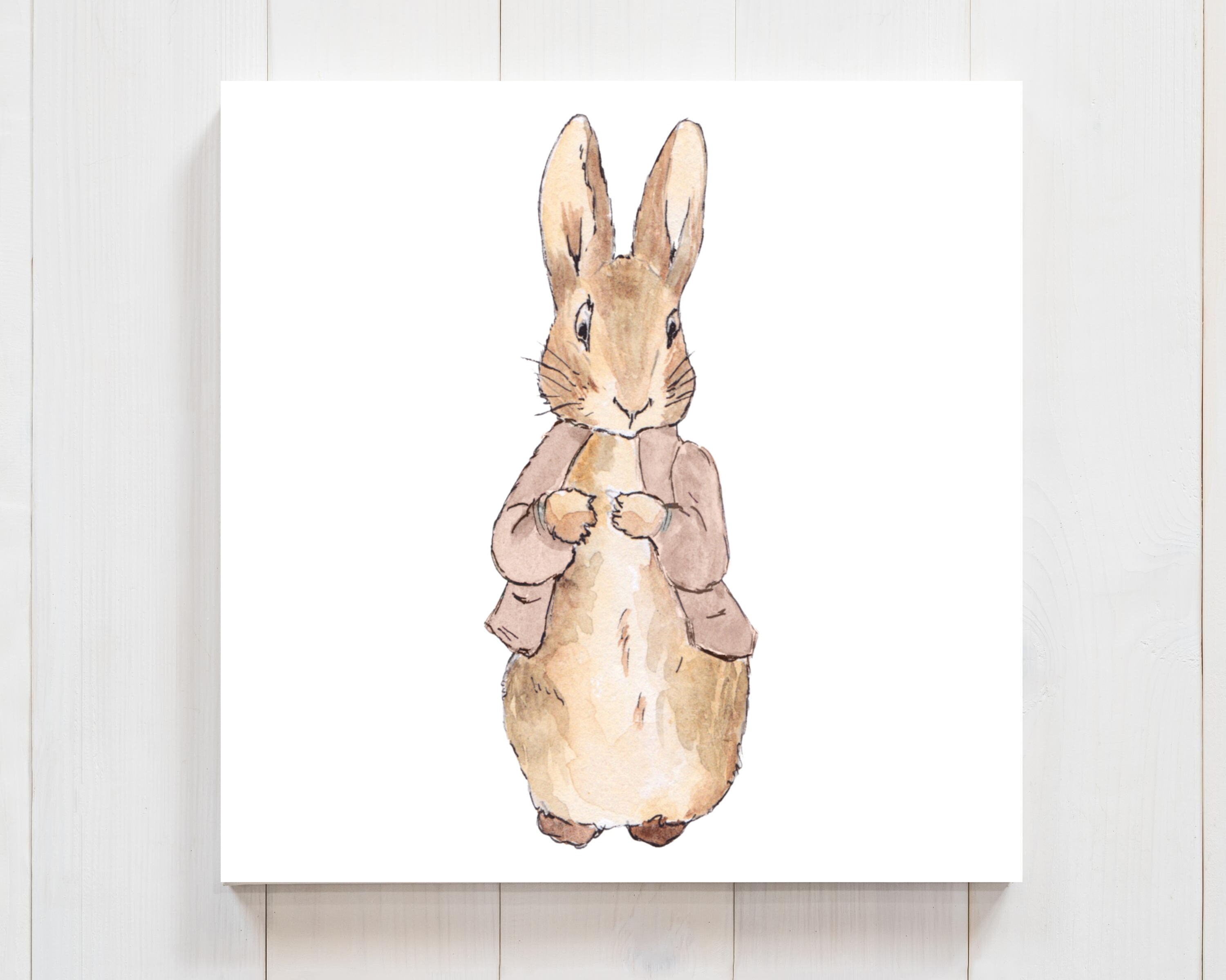 Instant PNG Download, Flopsy Bunny in Pale Pink Jacket, Clip Art ...