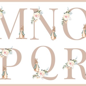Instant Download, Printable PNG, Peter Rabbit Floral Alphabet ...