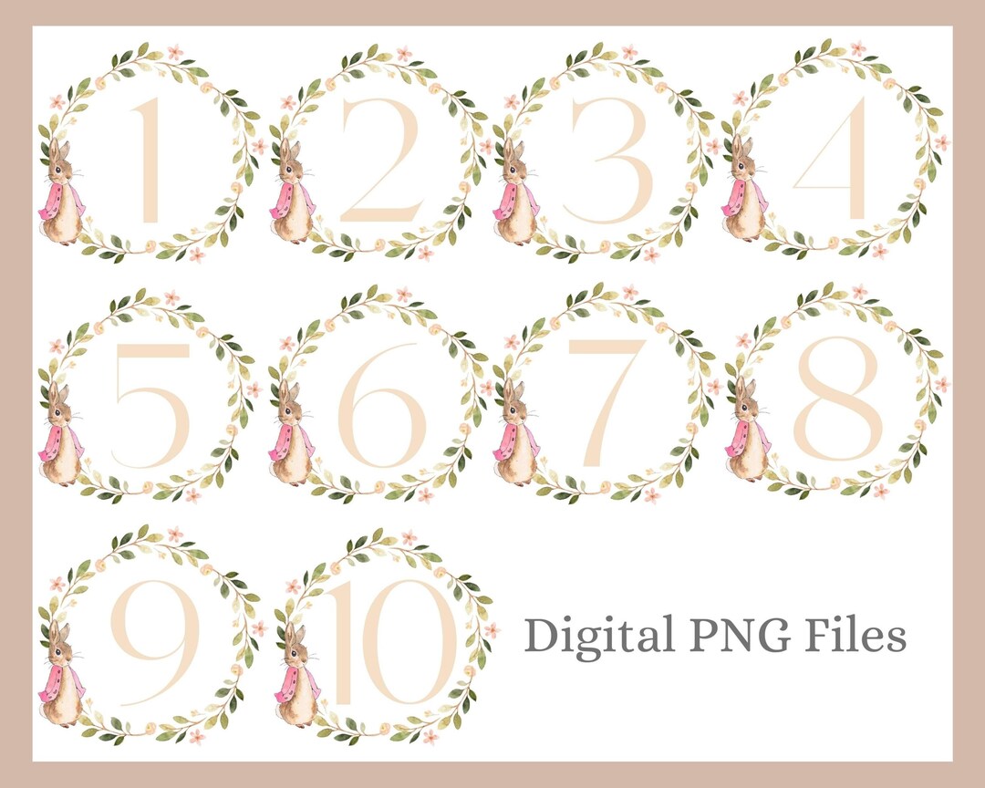 Instant PNG Download, Flopsy Rabbit, Flopsy Bunny, Pink Floral ...