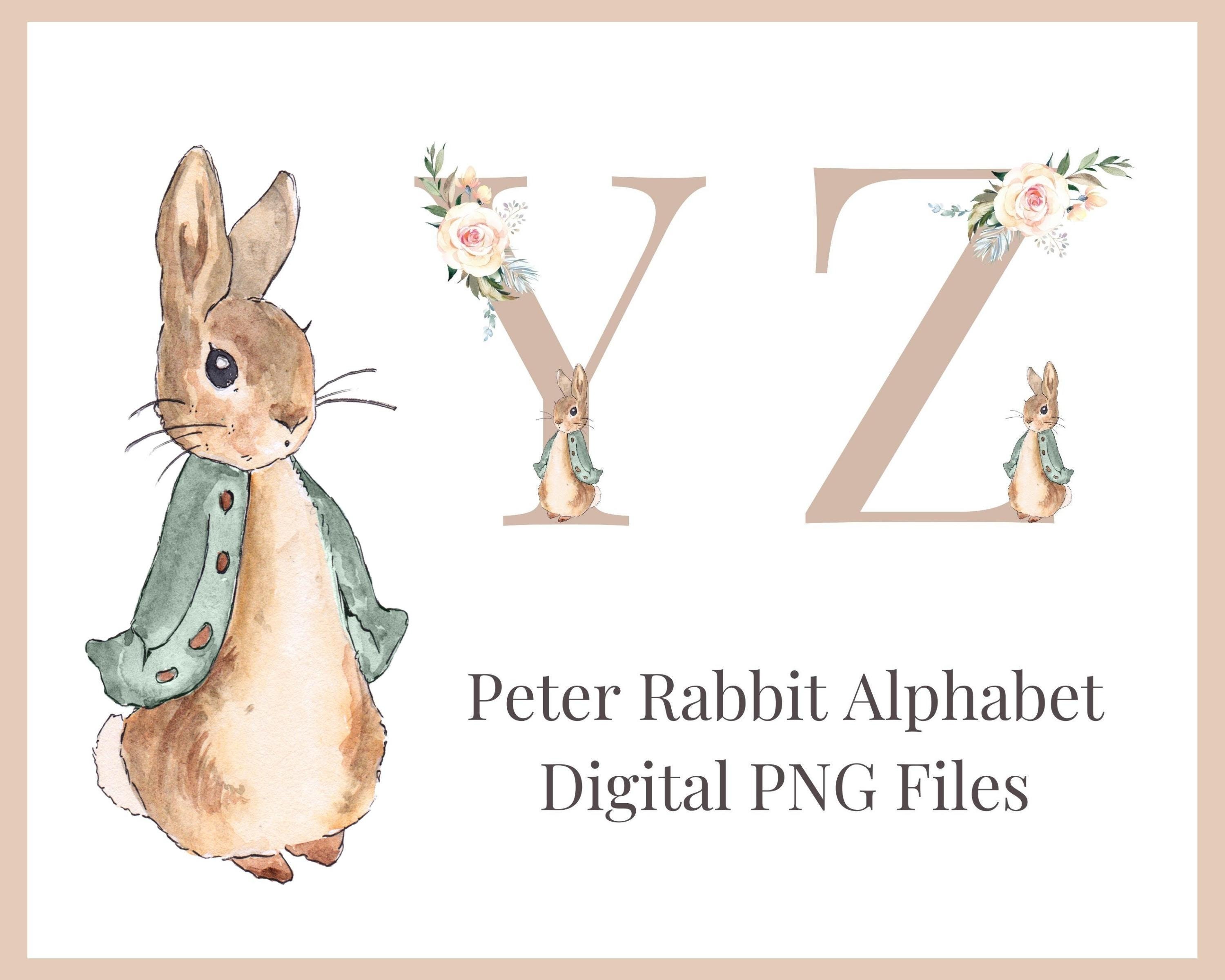 Instant Download Printable PNG Peter Rabbit Floral Alphabet - Etsy UK