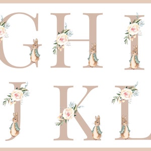 Instant Download, Printable PNG, Peter Rabbit Floral Alphabet ...