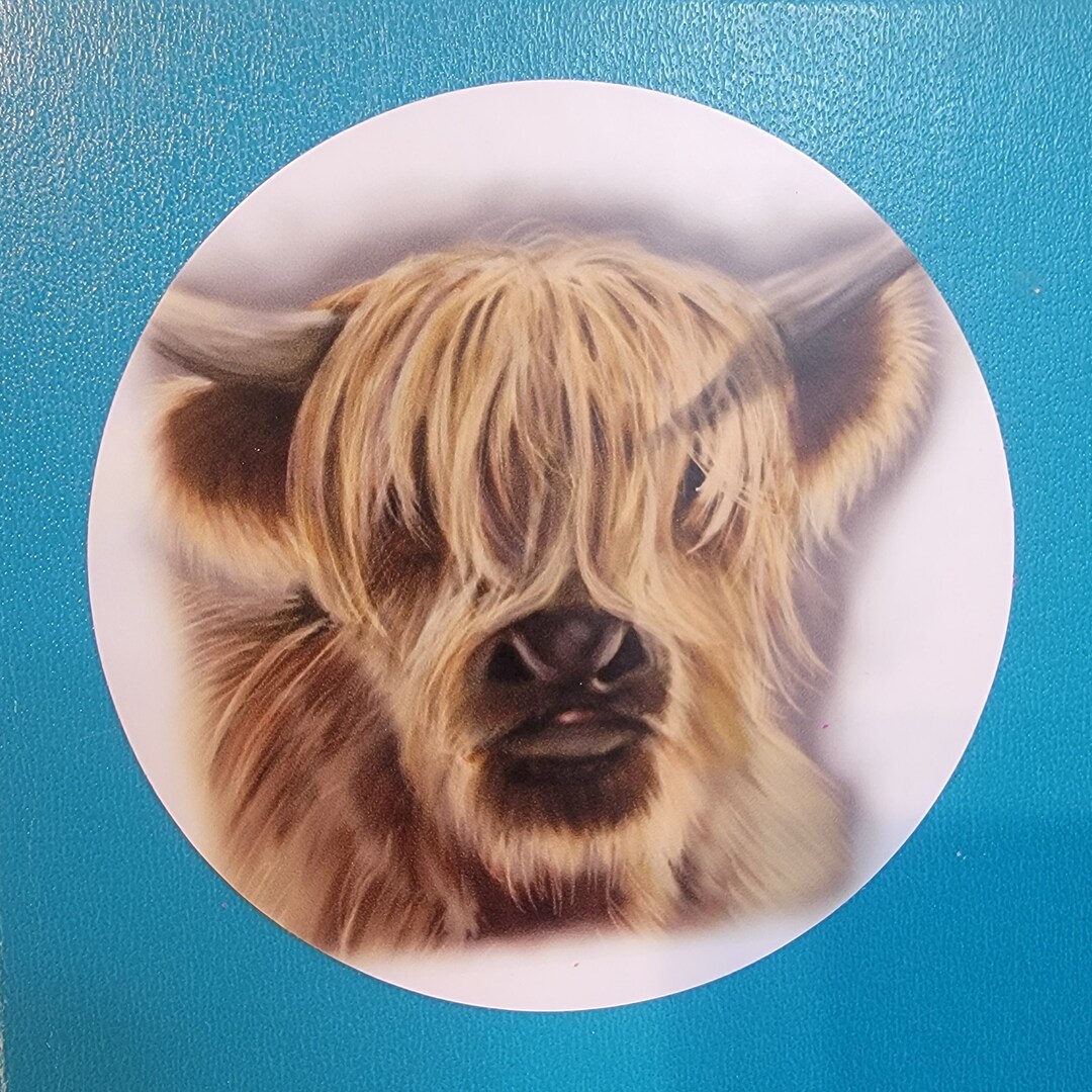 Highland Cow Sticker, Heelin coo, Kuh Sticker, Geschenk für Freund ...