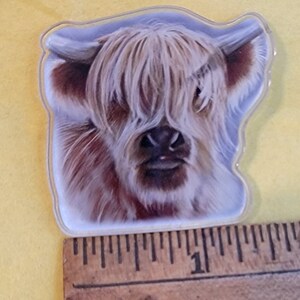 Highland Cow Pin, Heelin Coo, Cow Pin, Acrylic Pin - Etsy