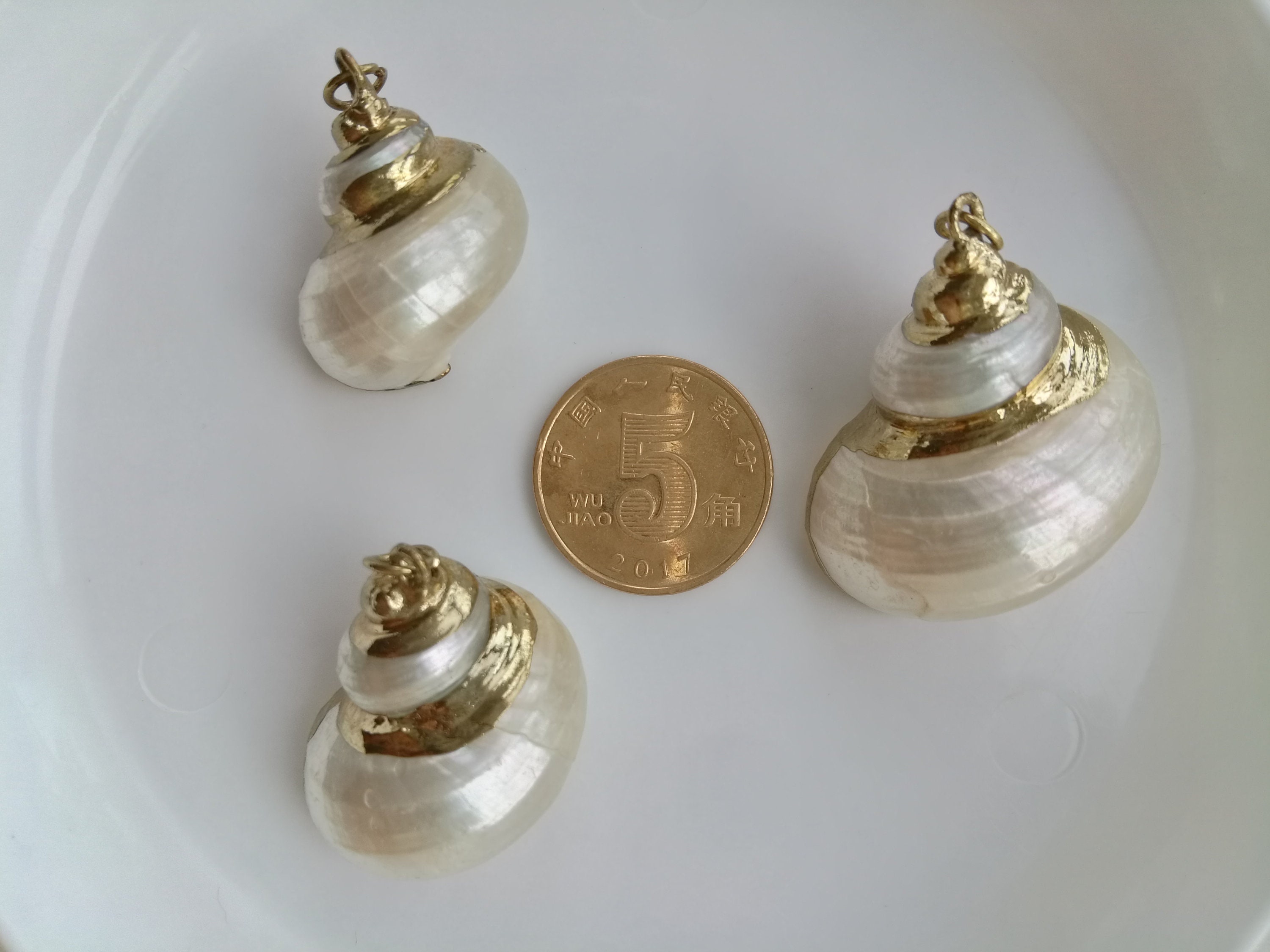 Wholesale White Natural Conch Shell Pendants, 22mm/26mm/34mm, DIY ...