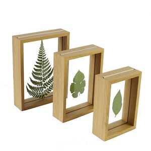 Square Solid Wood Photo Frame Transparent Log Picture Frame Dried ...