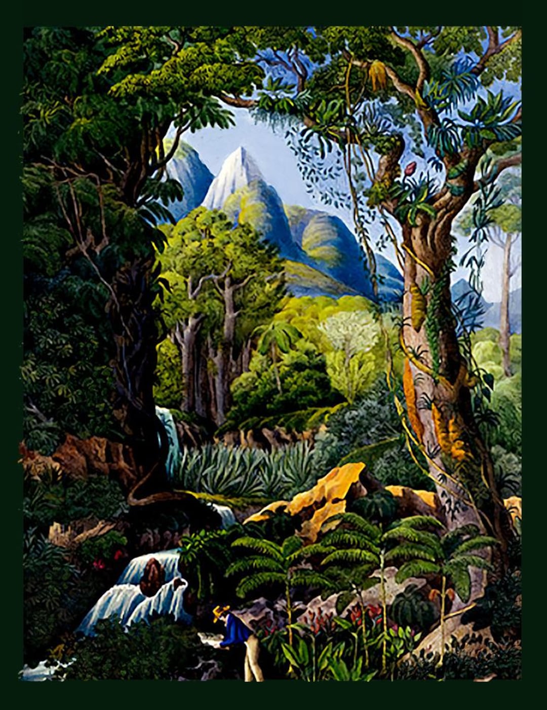 Forest in Brazil Fine Art Print - Etsy