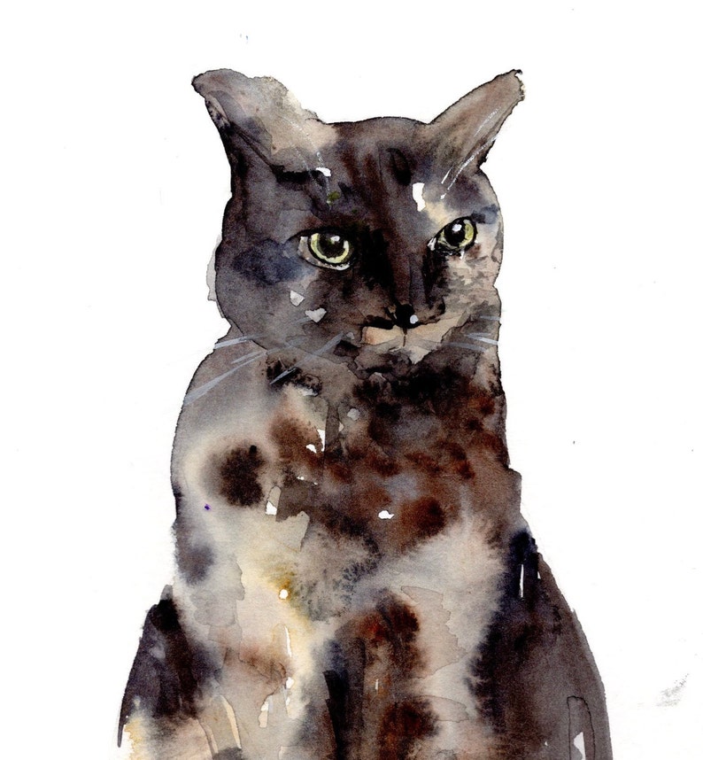 Tortoise Shell Cat Cats Artwork Watercolor Print Cats Art - Etsy