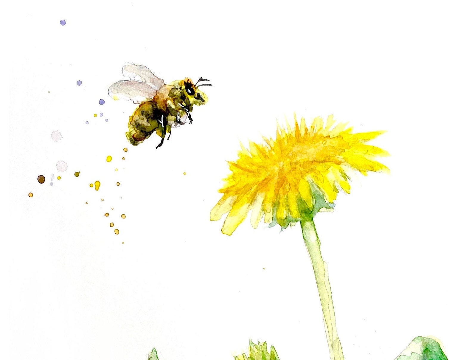 Dandelion Art Bees and Dandelion Art Watercolor Print Art - Etsy