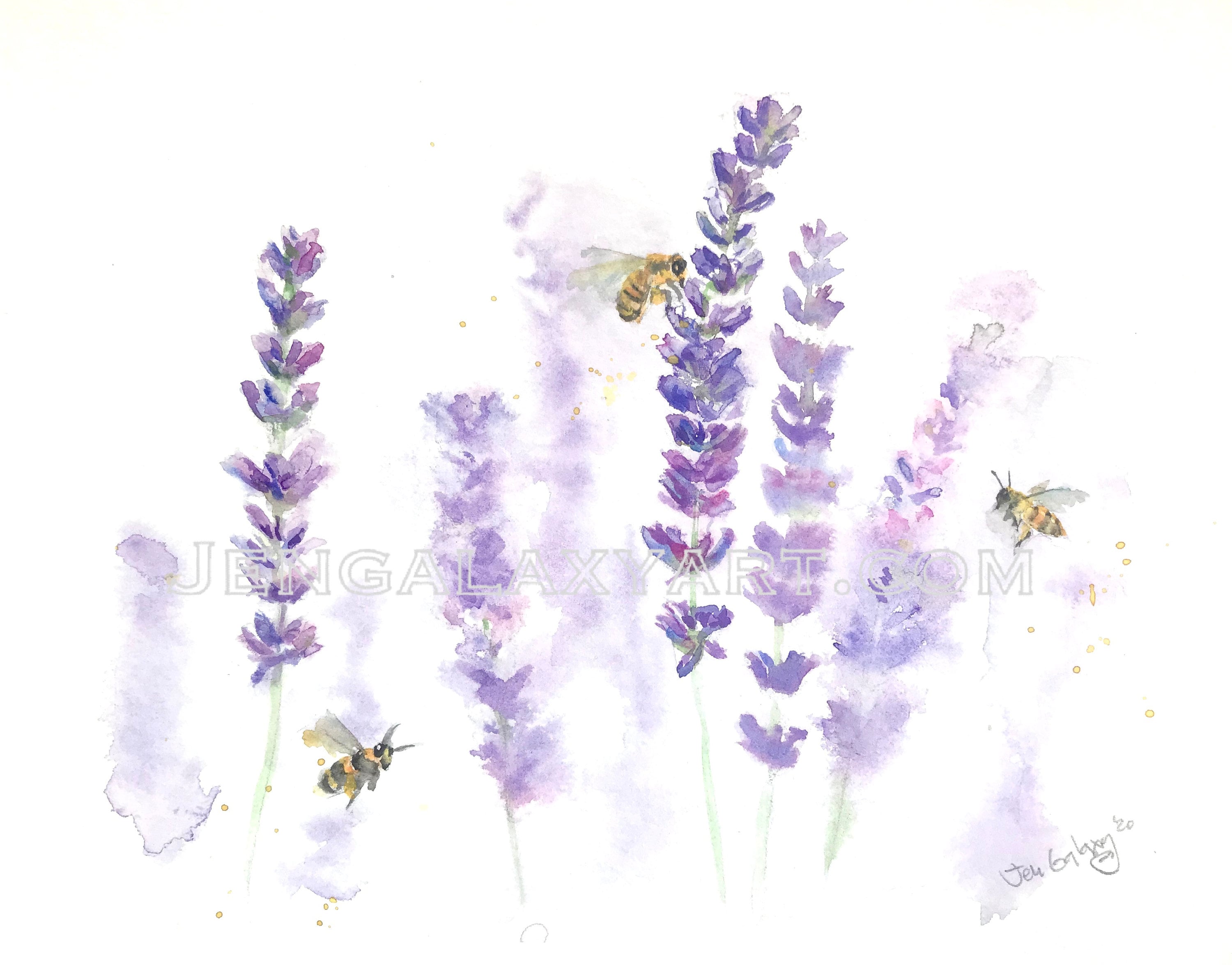 Lavender Bee Illustration