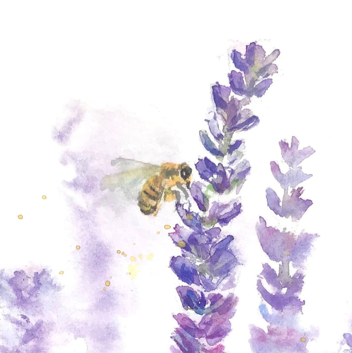 Bees and Lavender Art Watercolor Print Art Print Flower - Etsy