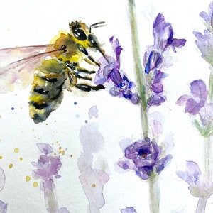 Honey Bee and Lavender Art, Watercolor Print, Art Print, Flower Art ...