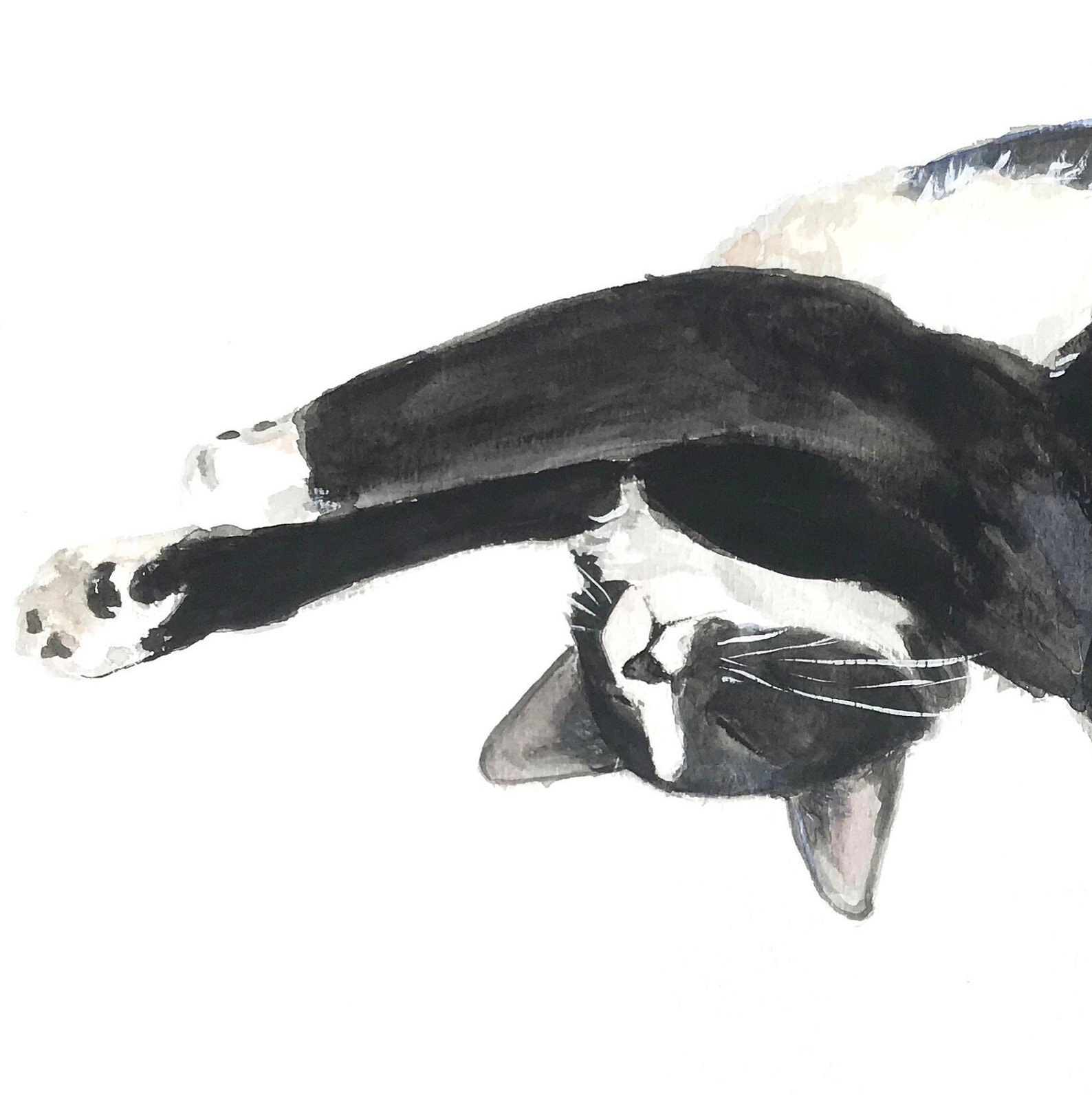 Cat Artwork, Watercolor Print, Sleeping Cat Pose Two, Cats, Art Print ...