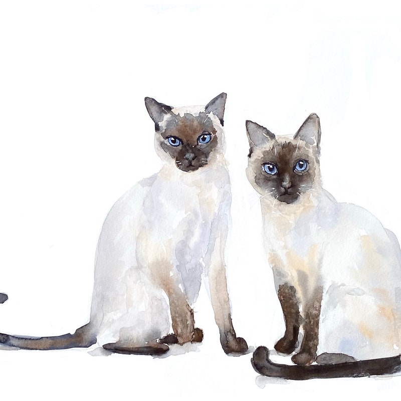 Beautiful Siamese Cat Art - Etsy