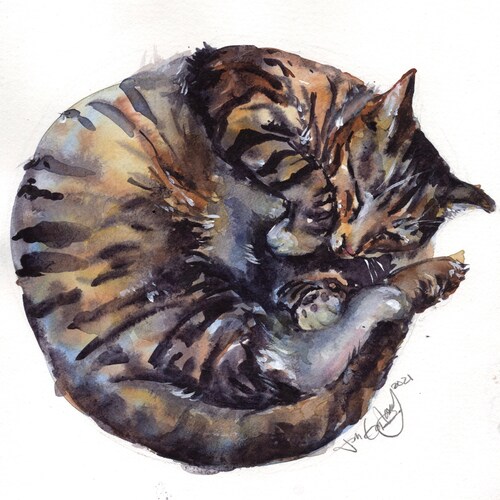 Brown Tabby Cat Art Print of My Watercolor Painting Artwork - Etsy