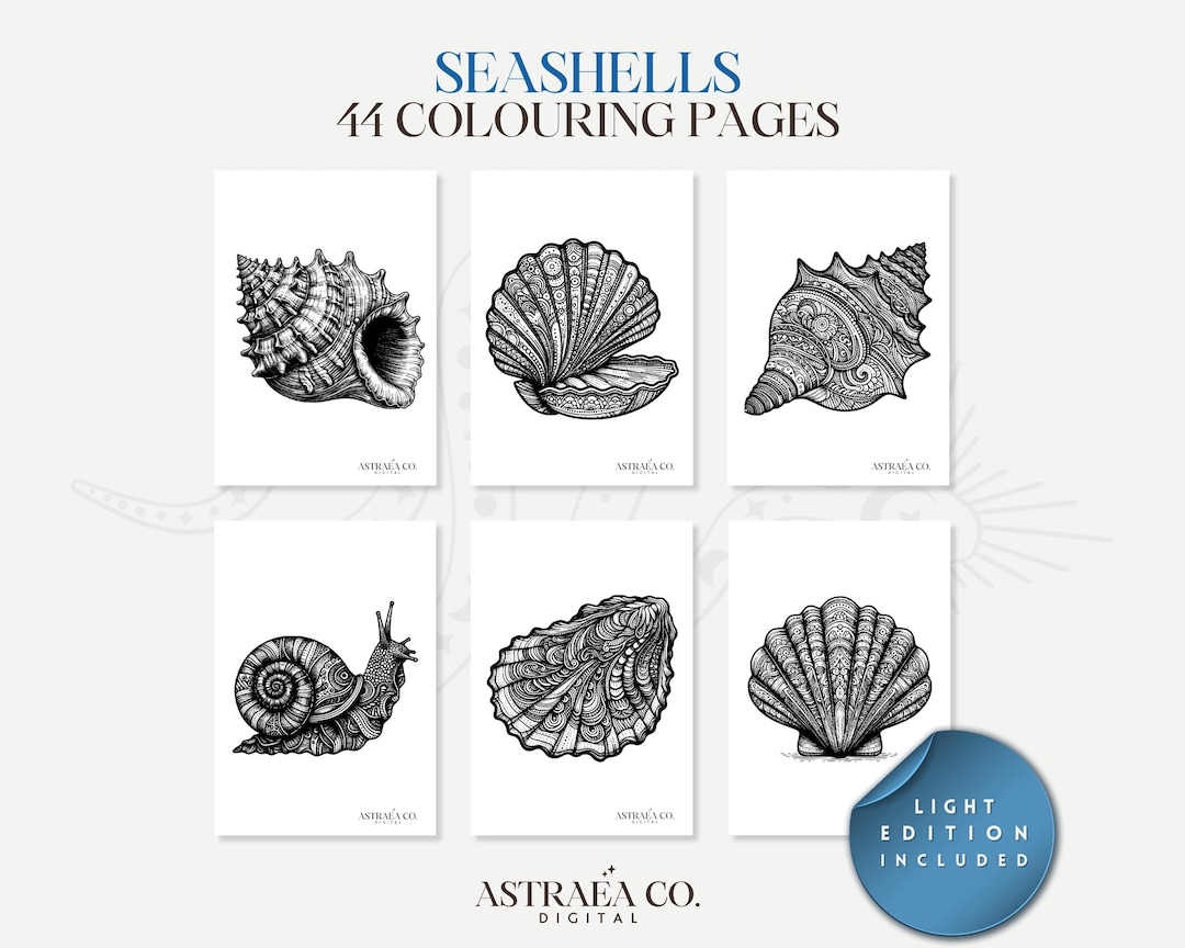 44 Seashells Colouring Collection, Printable Coloring Book Pages for ...